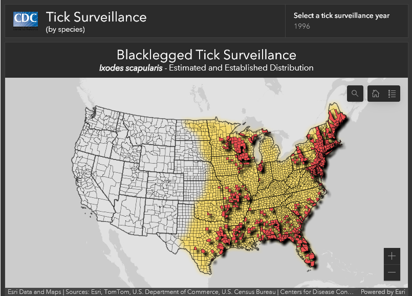 Rising tick risks: 3 must-know species to stay ahead of the trends ...