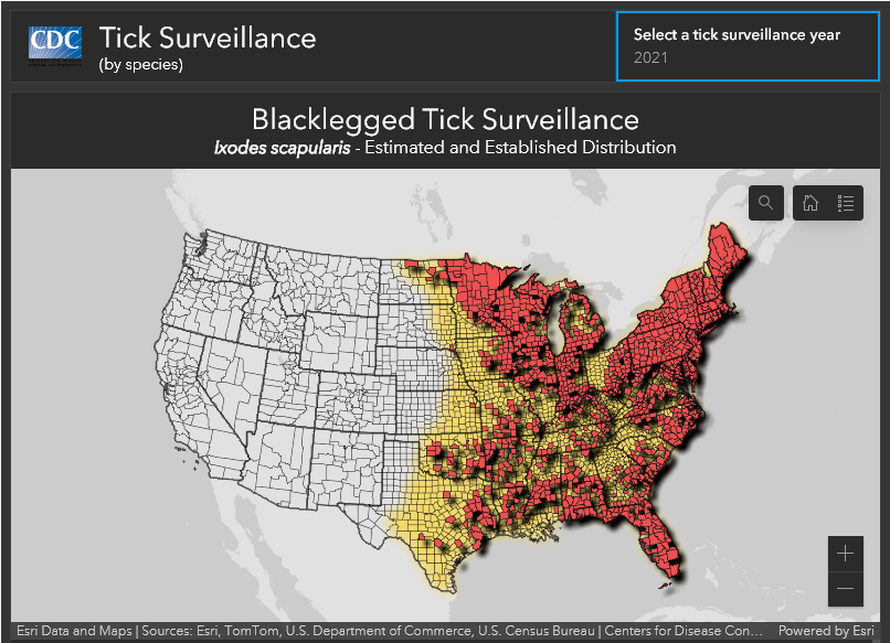 Rising tick risks: 3 must-know species to stay ahead of the trends ...