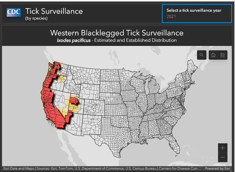 Rising tick risks: 3 must-know species to stay ahead of the trends ...