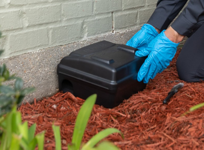 All About Rodent Bait Stations | Target Specialty Products US